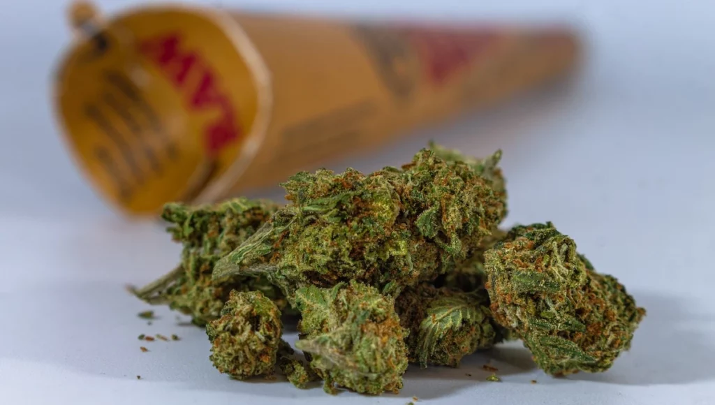 THCa Vs THCv Cannabinoids Compared Suncrafted Cannabis Dispensary THCa Vs THCv Cannabinoids Compared Suncrafted Cannabis Dispensary